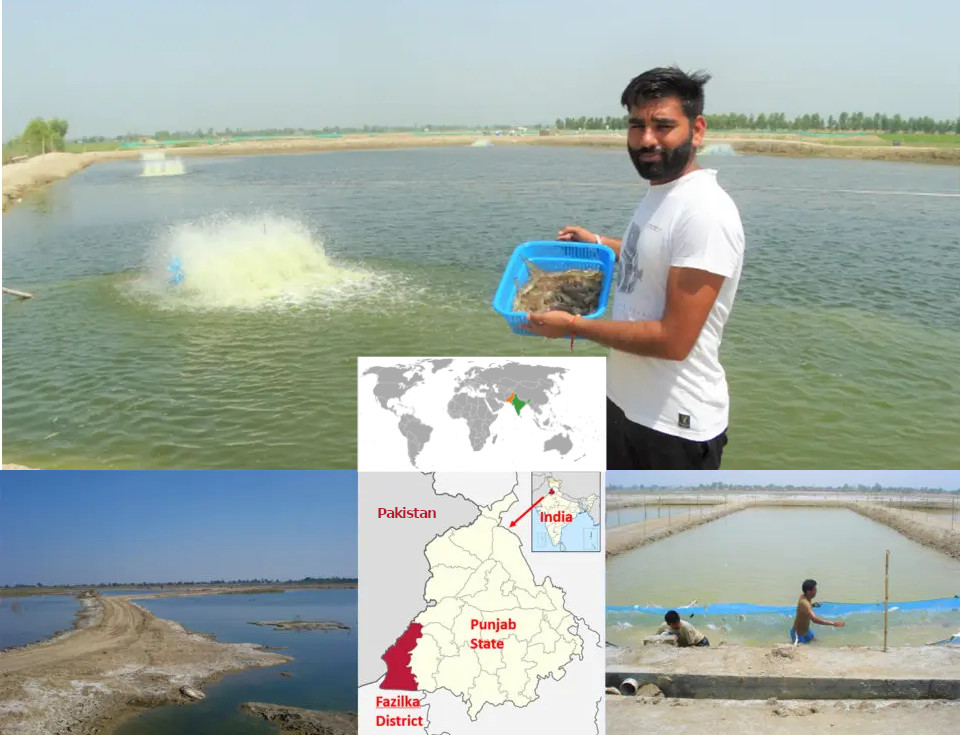 Seafood Media Group - Worldnews - Govt determined to promote aquaculture